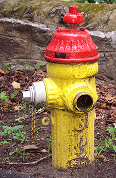 FireHydrant.org - The #1 Hydrant Information Resource